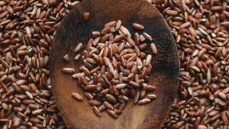 Comment réussir la cuisson du riz sauvage à tout coup? - Les Zackardises