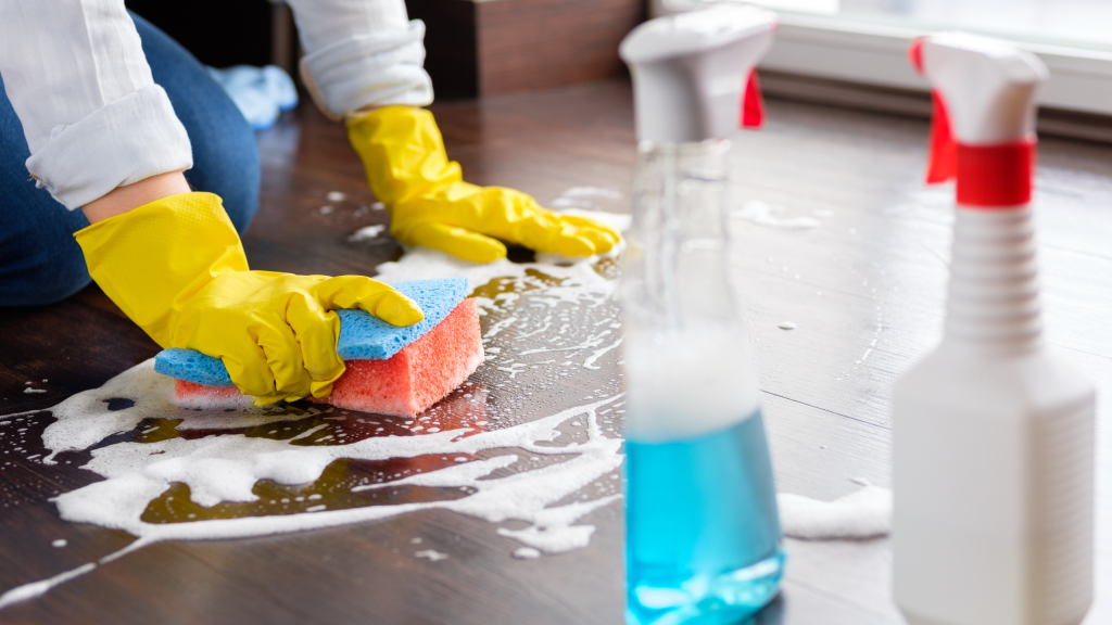 5 conseils pour garder sa maison propre - Les Zackardises